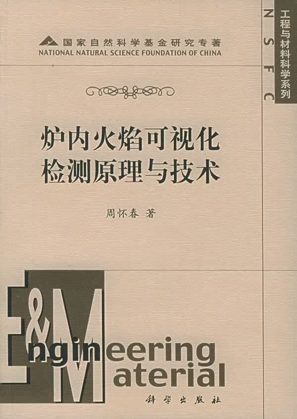工程与材料科学系列 炉内火焰可视化检测原理与技术 周怀春【好书，下单速发】