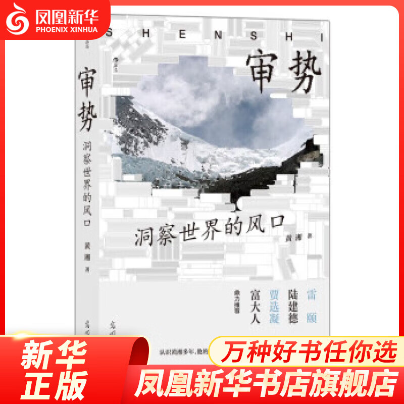 审势