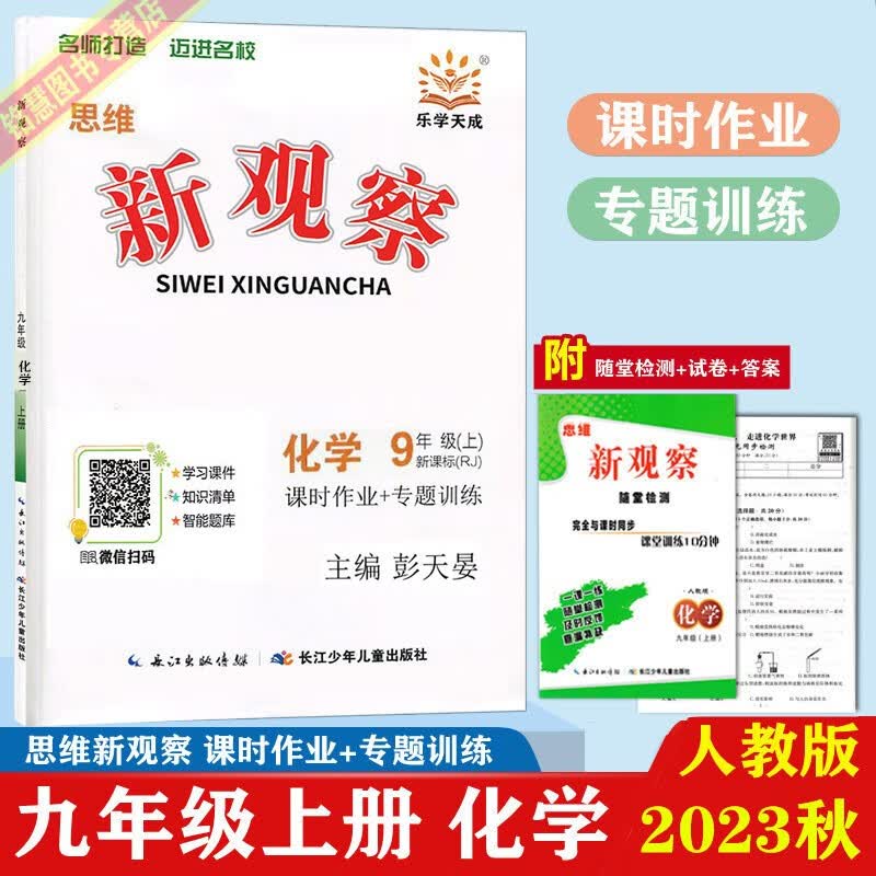 2023版新观察 九年级上册化学人教版