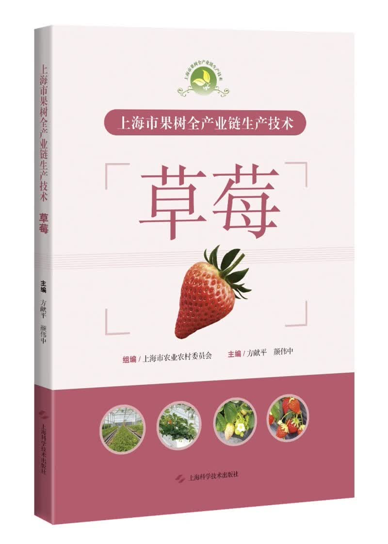 上海市果树全产业链生产技术：草莓