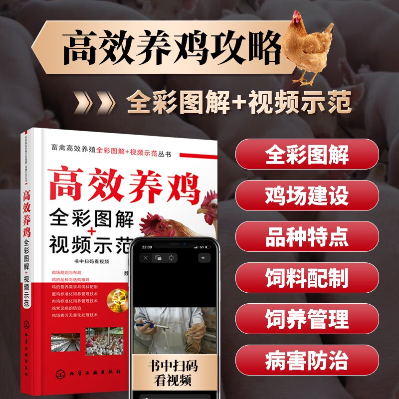 高效养鸡全彩图解+视频示范 畜禽高效养殖全彩图解+视频示范丛书 彩色图解科学养鸡技术 鸡病防治技术 鸡选种选育育种孵化技术 鸡饲料配置 鸡场传染病防治 鸡蛋标准化饲养管理技术 鸡病科学用药 养鸡书籍