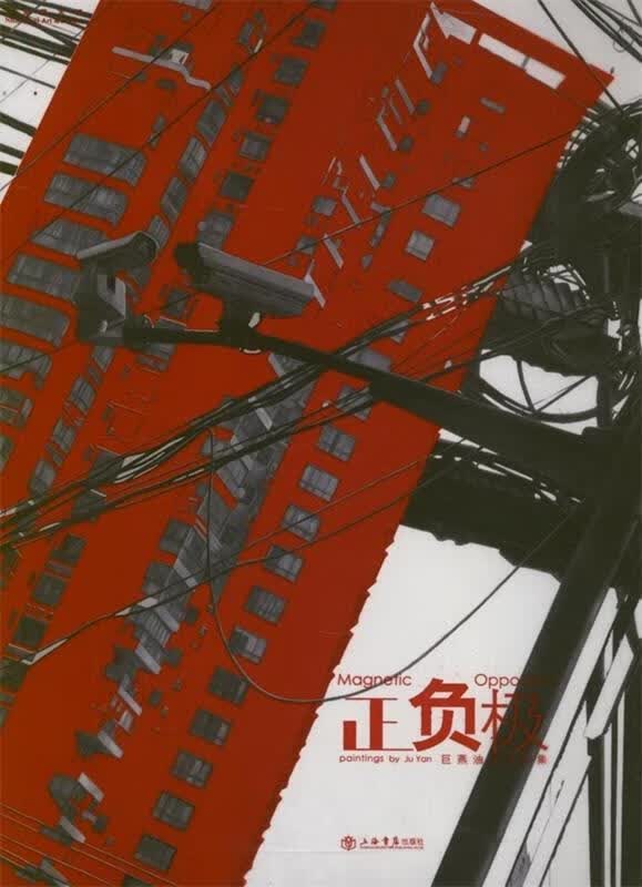 正负极【好书，下单速发】