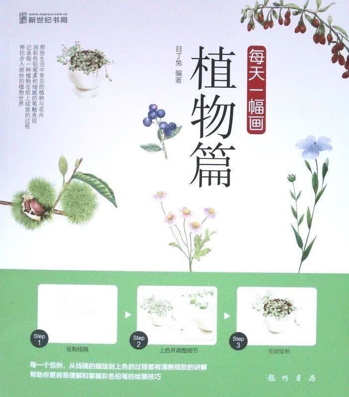 每天一幅画·植物篇 目丁兔 著 9787508841892