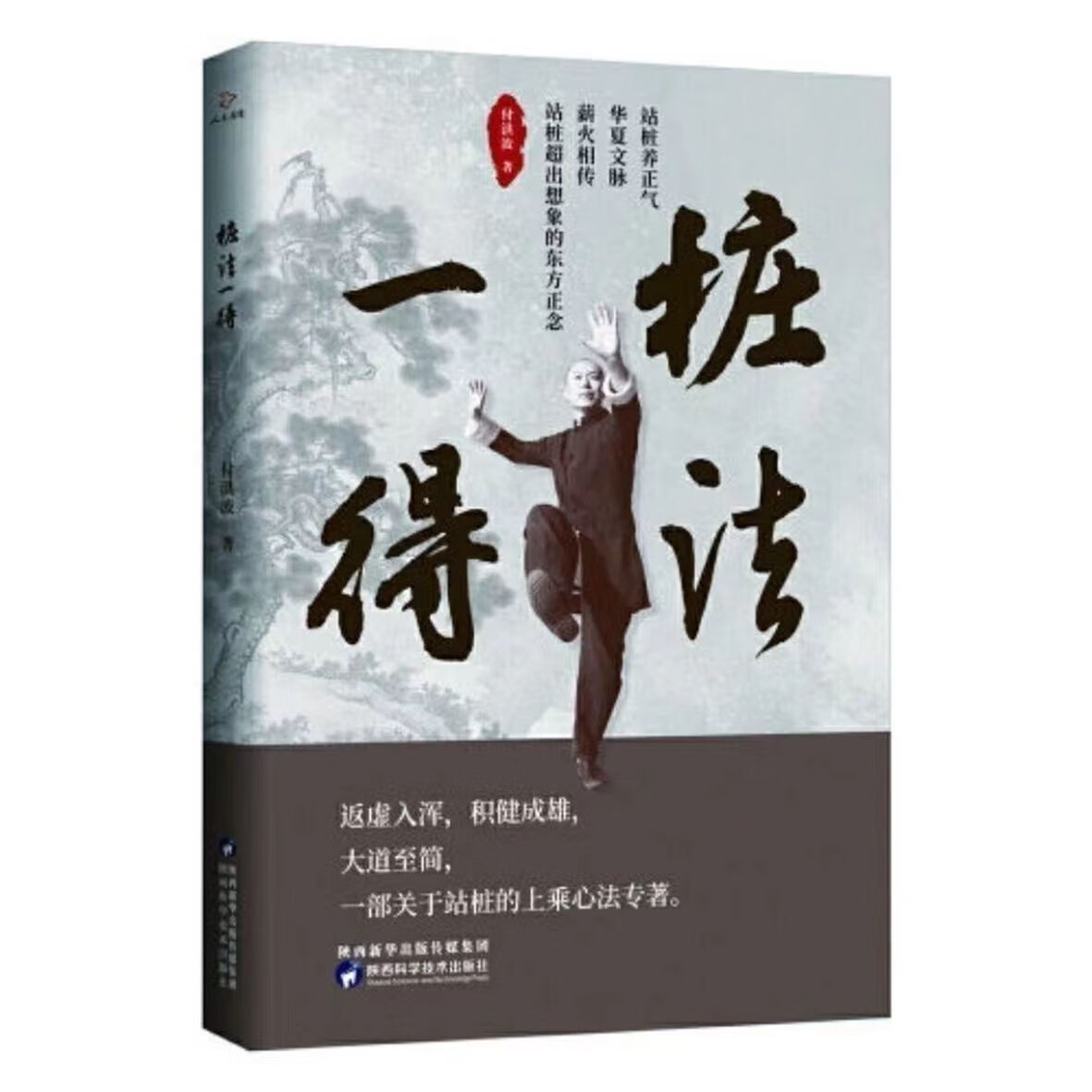 付洪波现货速发 【桩法一得 】