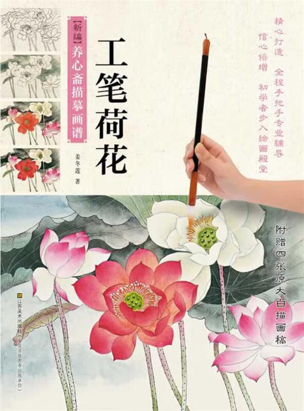新编养心斋描摹画谱-工笔荷花