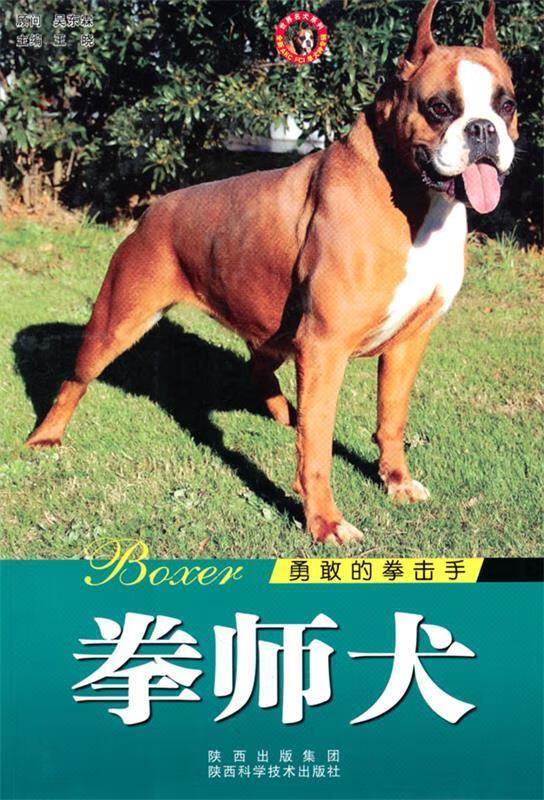 世界名犬-拳师犬 王晓 主编