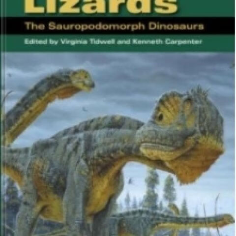 Thunder-Lizards: The Sauropodomorph Dinosaurs