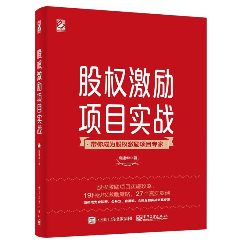 股权激励项目实战 高建华 著