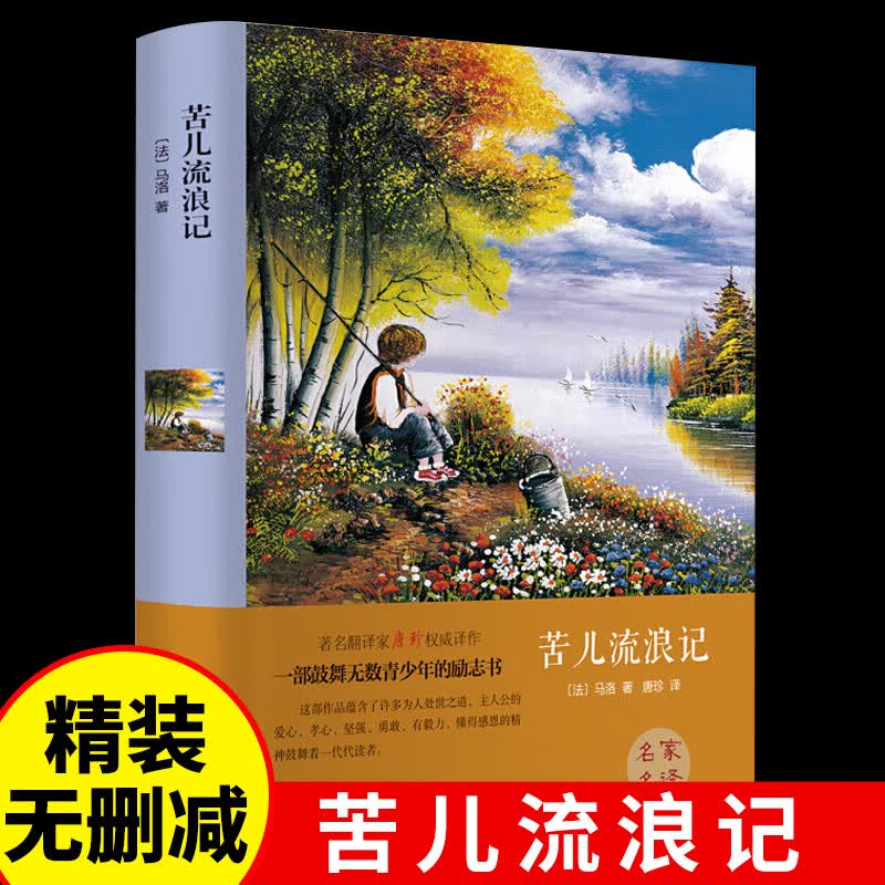 苦儿流浪记 埃克多.马洛原著 精装硬壳 名家名译 世界经典名著 外国文学小说 中国文联