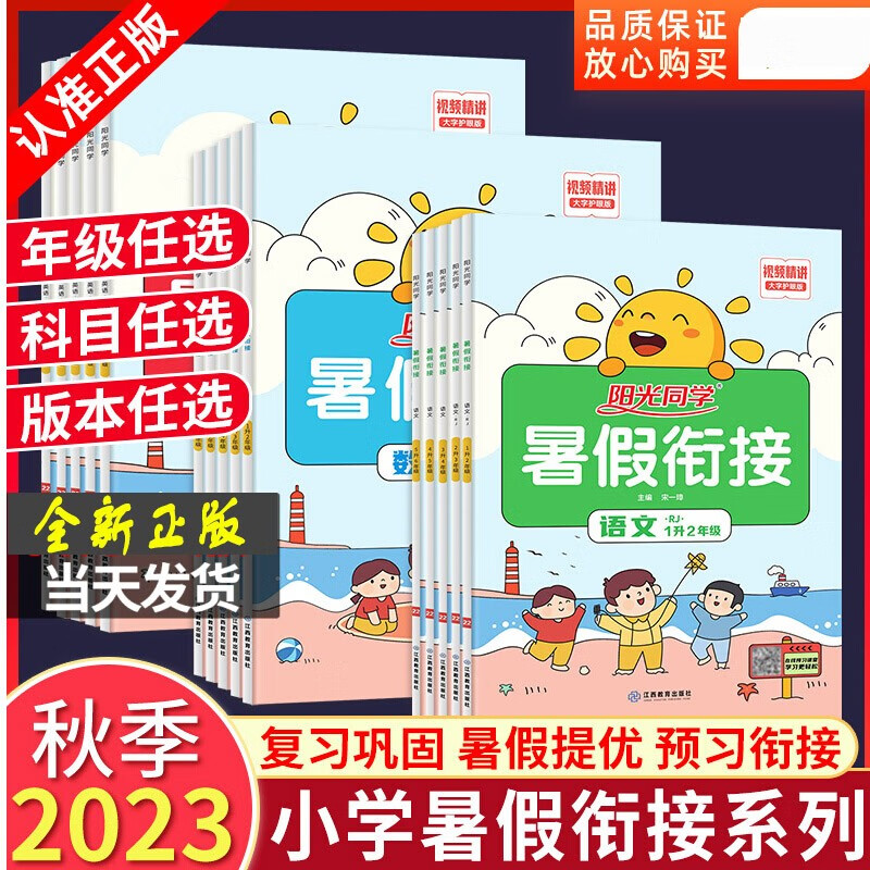 科目自选】2023新版阳光同学暑假衔接语文数学英语1升2一升二2升3二升三3升4三升四4升5四升五5升6五升六 一二三四五六年级小学暑假作业同步训练练习册一本通 【语文5升6】人教版