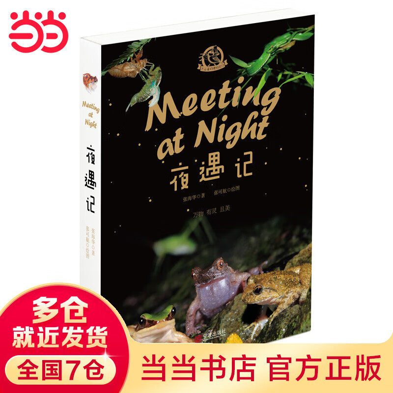 夜遇记