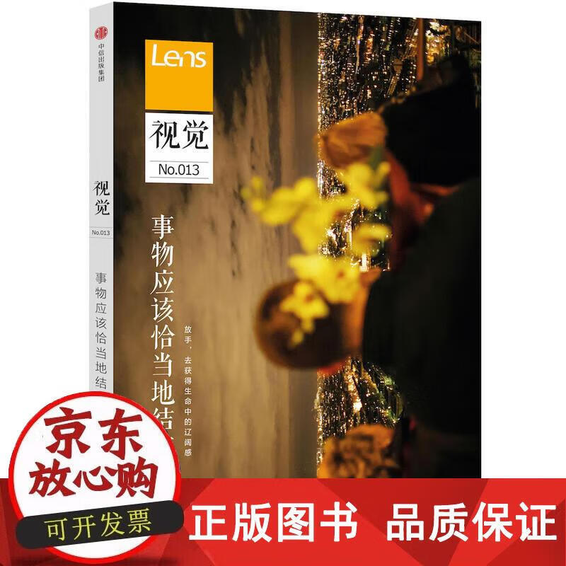 视觉013：事物应该恰当地结束 Lens 著 9787508682693