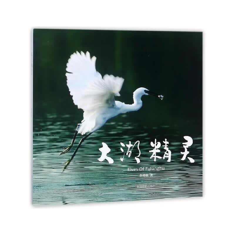 大湖精灵