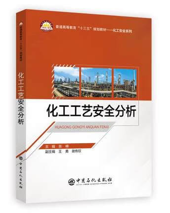 化工工艺安全分析 张峰 王勇,谢传欣主编