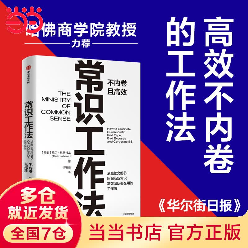 常识工作法:不内卷且高效 马丁·林斯龙 著 痛点 品牌洗脑 作者新作
