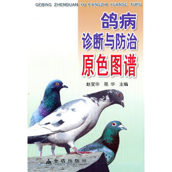 鸽病诊断与防治原色图谱 赵宝华【书】