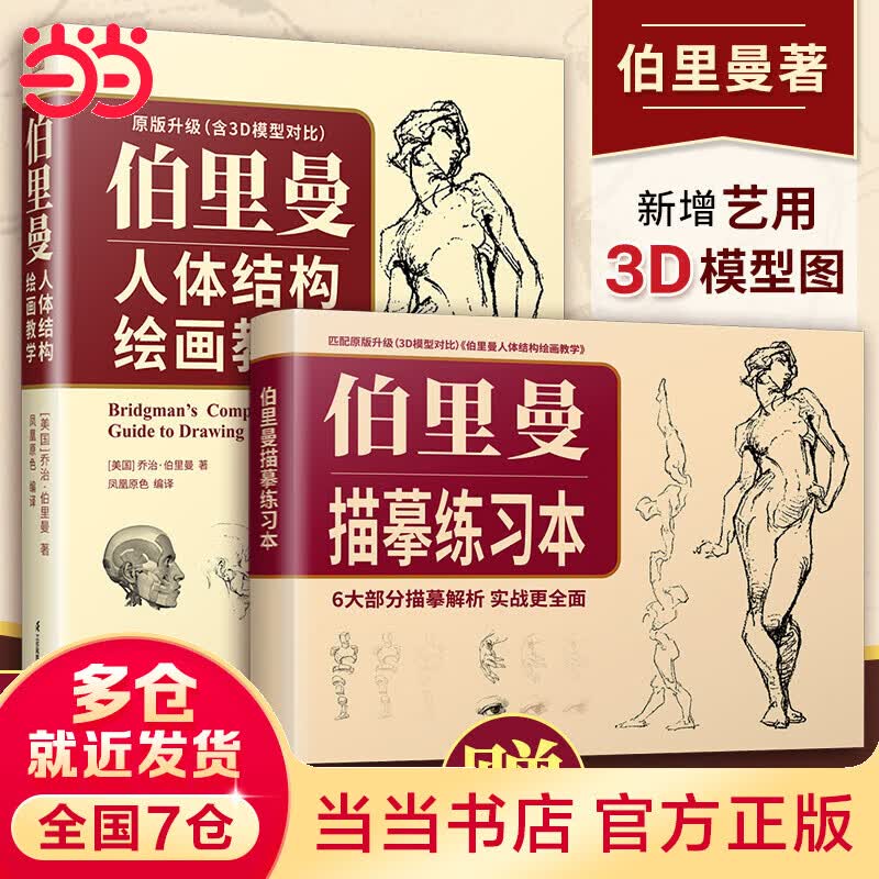 当当伯里曼人体结构绘画教学（赠:伯里曼描摹练习本）  3D模型对比素描基础教程 理解人体形态基础入门 人体结构造型手绘解剖技法书