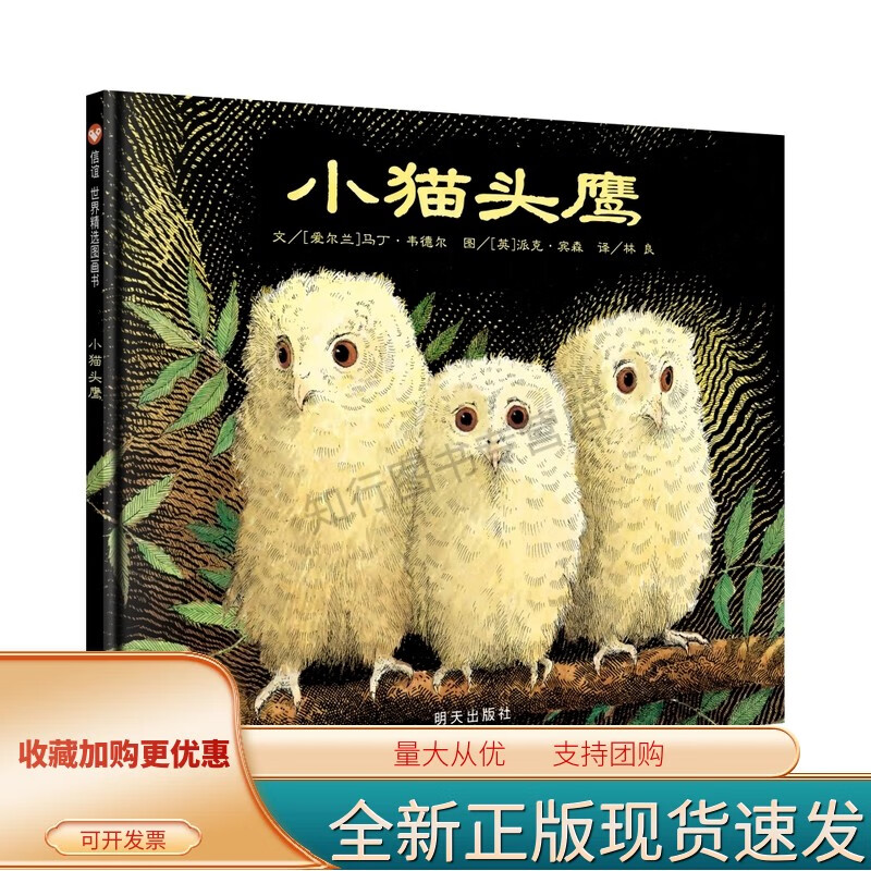 《小猫头鹰》精装 小猫头鹰(精)