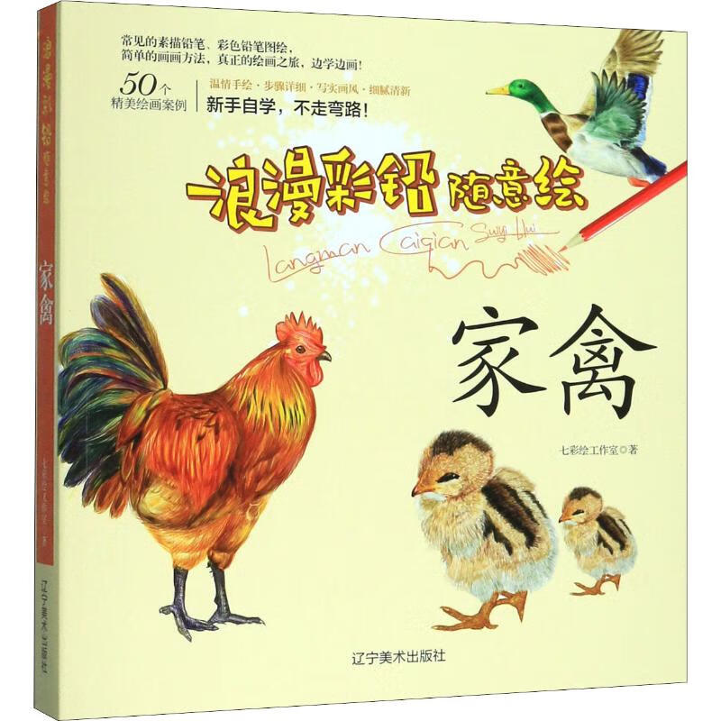 浪漫彩铅随意绘 家禽