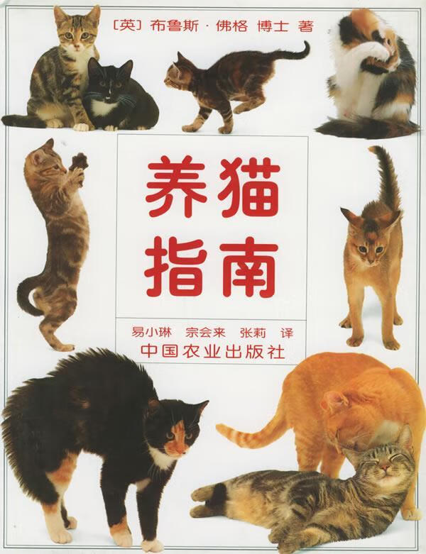 养猫指南