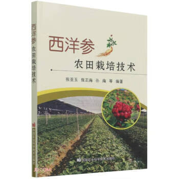 西洋参农田栽培技术