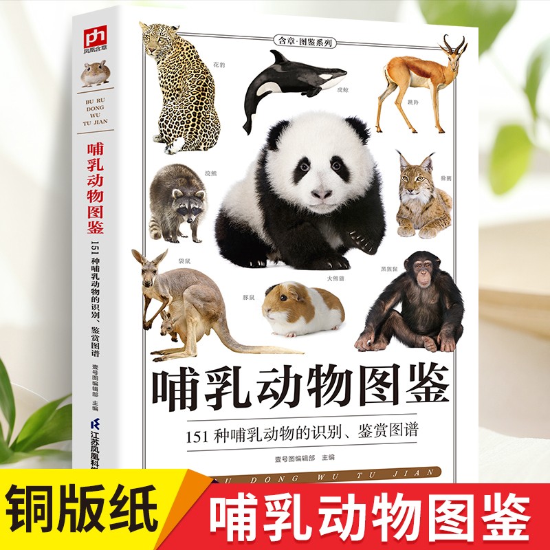 哺乳动物图鉴科普 400多幅精美的哺乳动物图片 文字简洁 高清晰度彩色图片具有很高的欣赏价值自然观察日记博物大百科博物课科普书