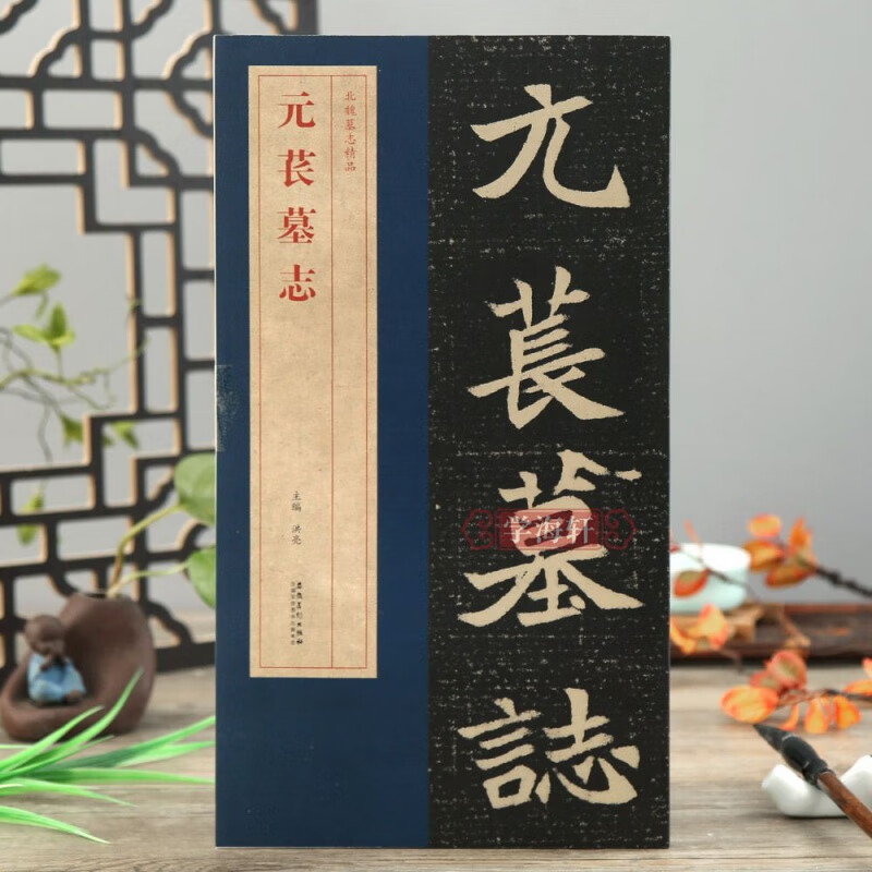 元苌墓志北魏墓志简体旁注碑帖简介原碑原帖墓志单字放大附原大整张墓志铭魏碑楷书毛笔书法字帖洪亮编 如图