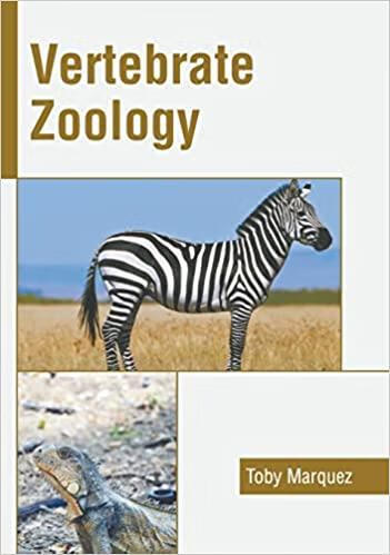 vertebrate-千图网