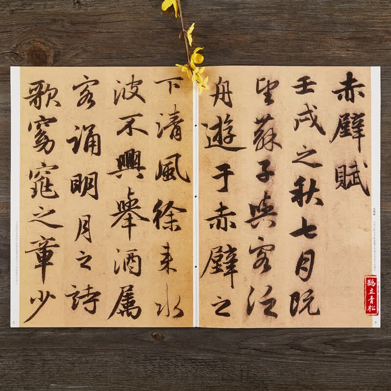 赵孟頫书前后赤壁赋 碑帖珍品临摹本 繁体旁注 精美放大版 行书毛笔书法字帖 孙宝文编著 吉林出版大八开原帖