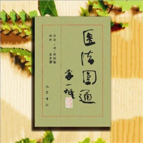 医法圆通(清)郑钦安原著唐步祺阐译1991