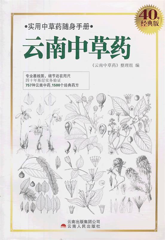 云南中草药
