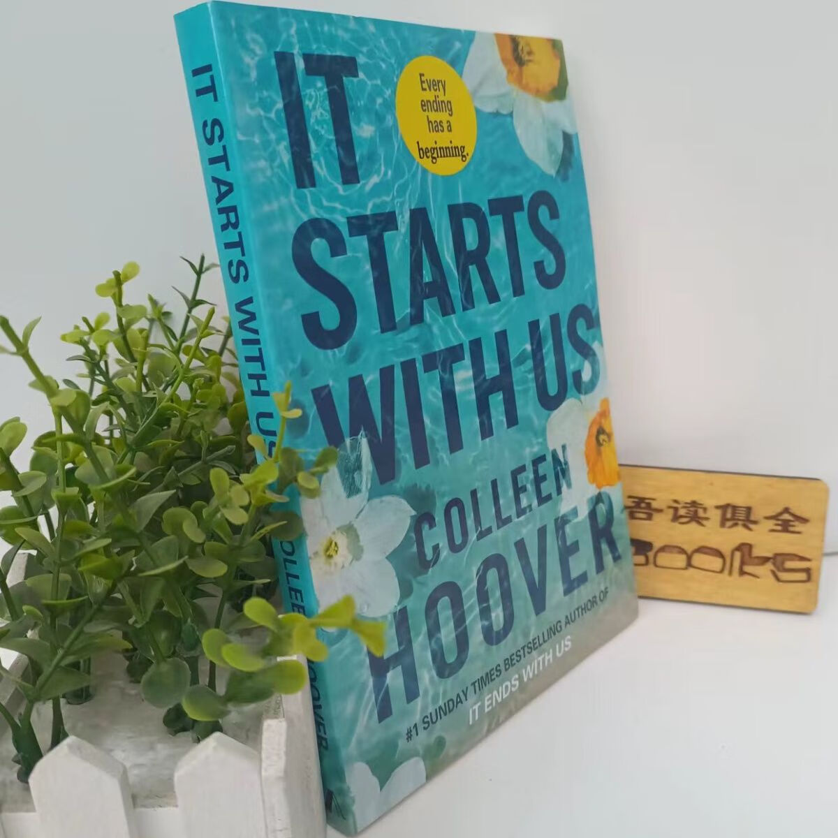 现货实体书 Colleen Hoover 英文原版书 It Starts with Us