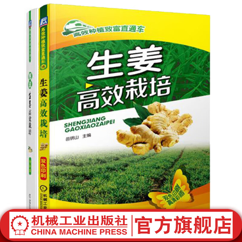 套装 官网 生姜栽培种植技术 共2本 生姜高效栽培+图说生姜高效栽培 全彩版 四季 种植苗 轮