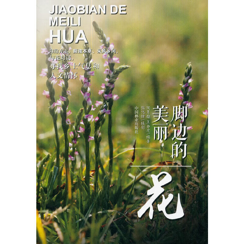 脚边的美丽(花)