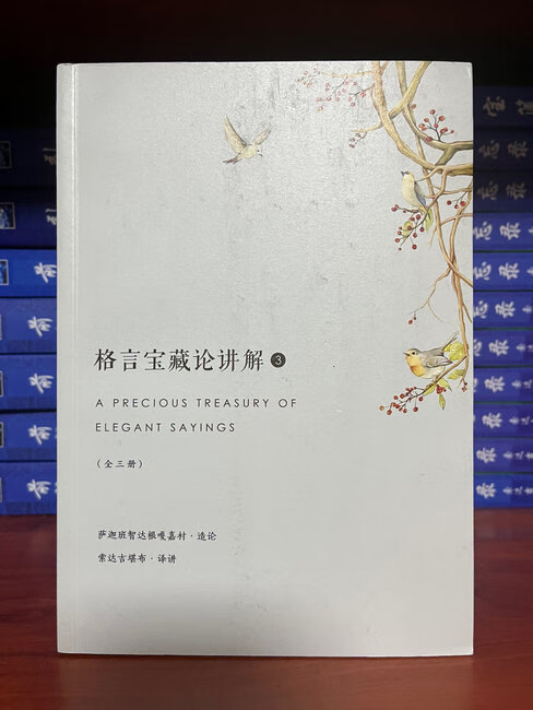 白皮书系列~格言宝藏论讲解3 索师