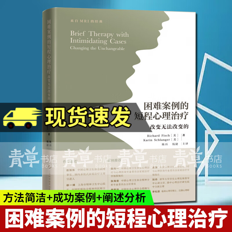 困难案例的短程心理治疗—重度抑郁幻觉与妄想神经性厌食酗酒强迫症自我损毁及多重问题的真实案例分析预售