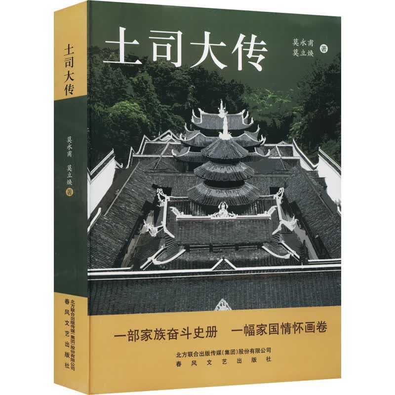 土司大传 图书