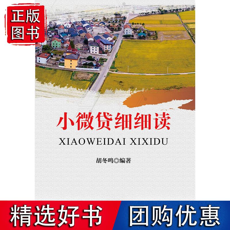 小微贷细细读