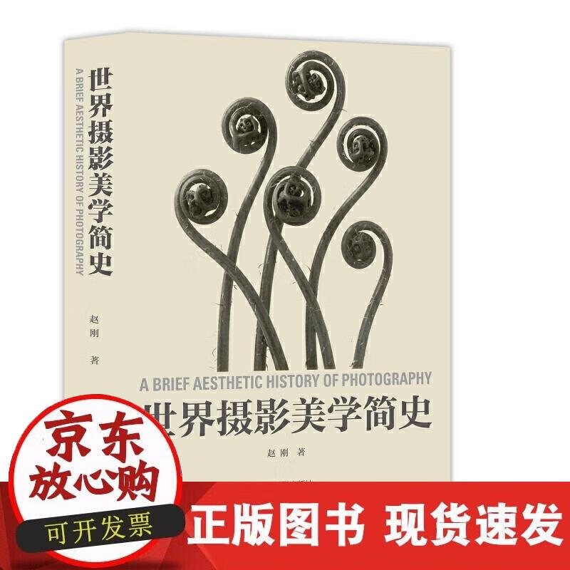 【现货】世界摄影美简史
