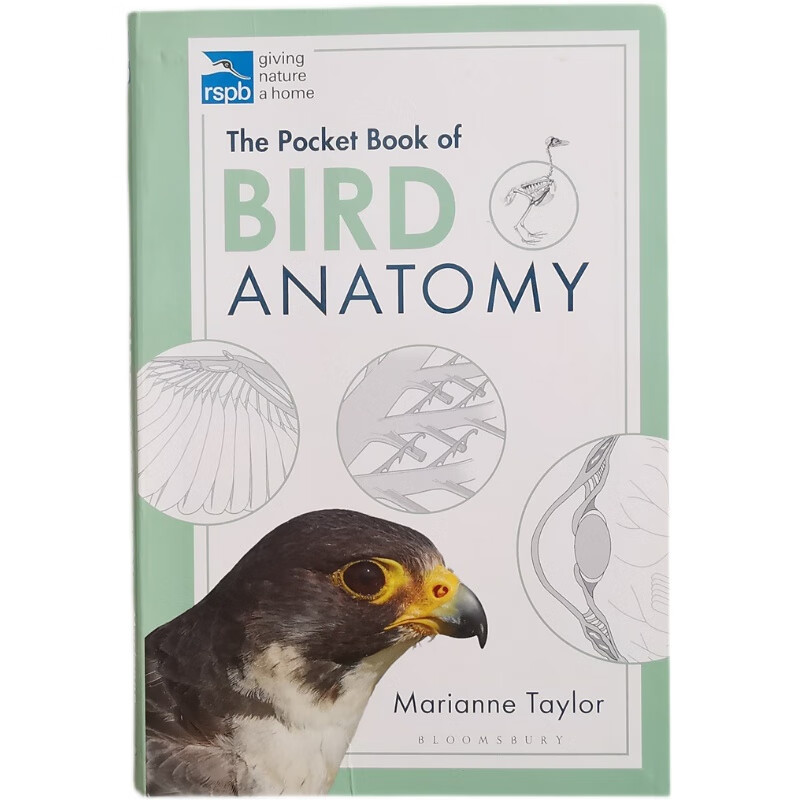 原版英文 鸟类解剖学袖珍书 The Pocket Book of BIRD ANATOMY ATOMY