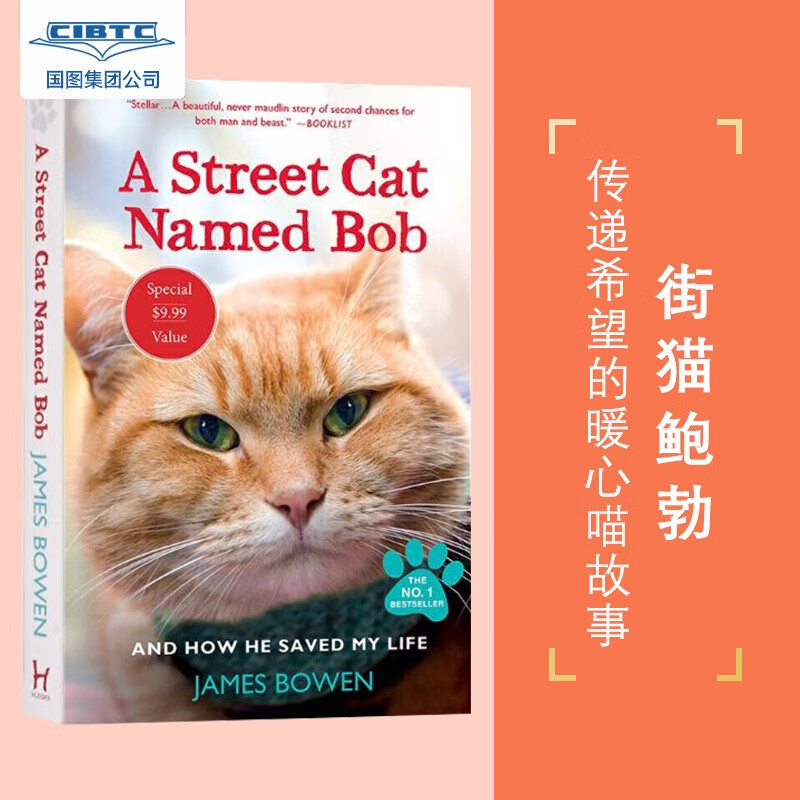 现货 英文原版 一只名叫鲍勃的街头流浪猫 英文原版 街猫 A Street Cat Named Bob