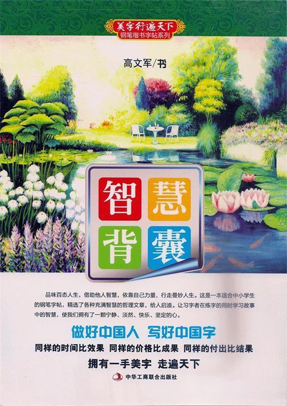 智慧背囊 高文军 书