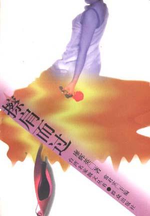 擦肩而过 廖辉英【书】