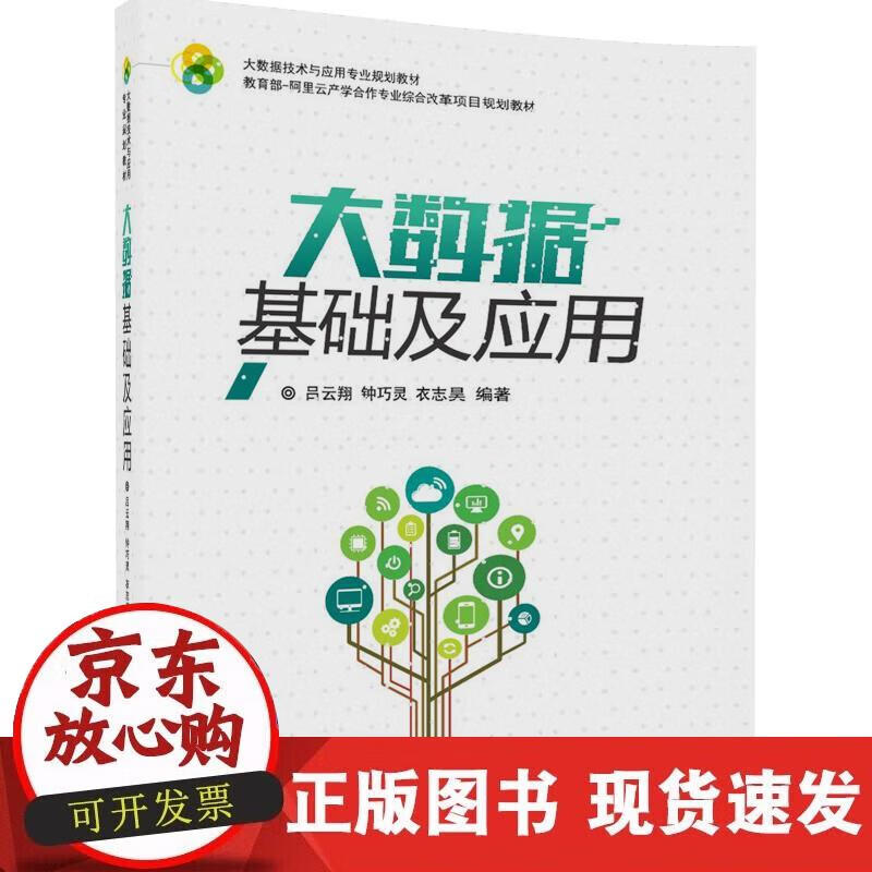 【现货】大数据基础及应用