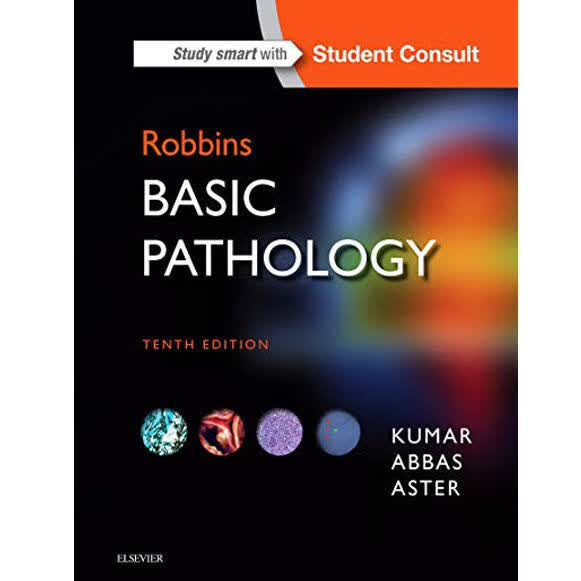 Robbins Basic Pathology原版全彩