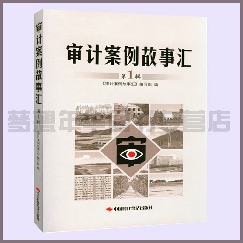 审计案例故事汇（第1辑）《审计案例故事汇》编写组编写 9787511928536 中国时代经济出版社
