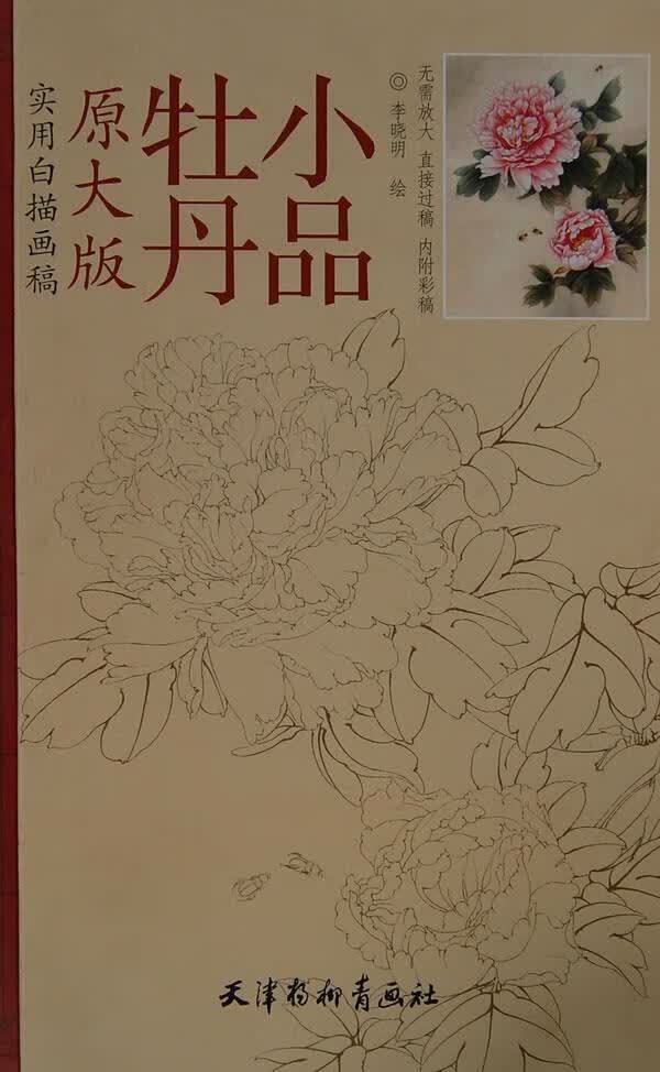 实用白描画稿 牡丹小品