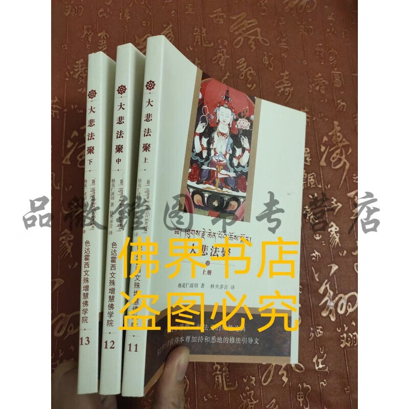 大 悲 一套三册 现货 速发