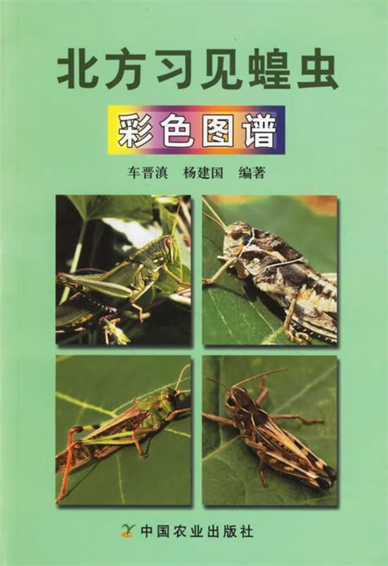 北方习见蝗虫彩色图谱