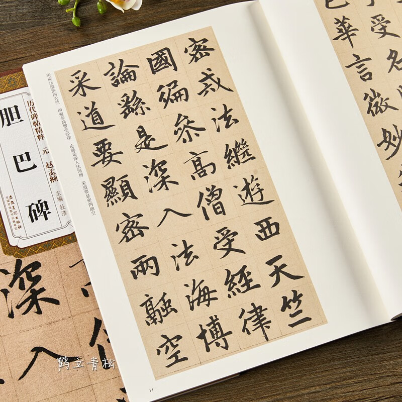 元赵孟頫胆巴碑历代碑帖杜浩赵体赵孟俯楷书毛笔书法字帖成人学生临摹简体旁注原碑帖书籍安徽美术出版社